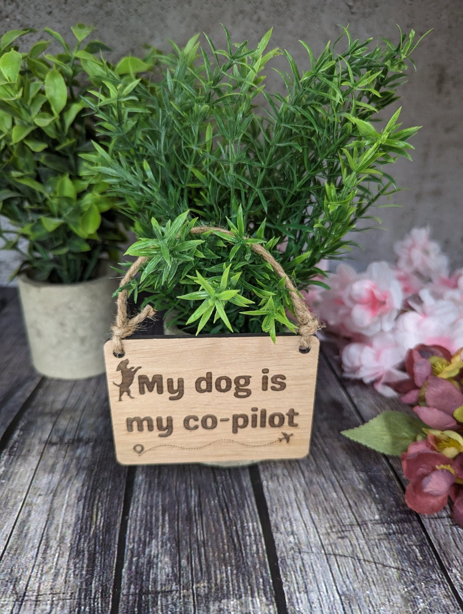 Doggy Co-Pilot Wooden Sign | Dog Lover's Hanging Gift – CherryGroveCraft